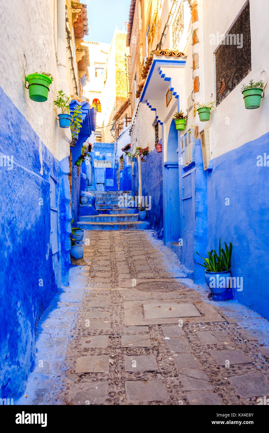 Rue bleue avec des seaux de fleurs colorées à Chefchaouen, Maroc Photo ...