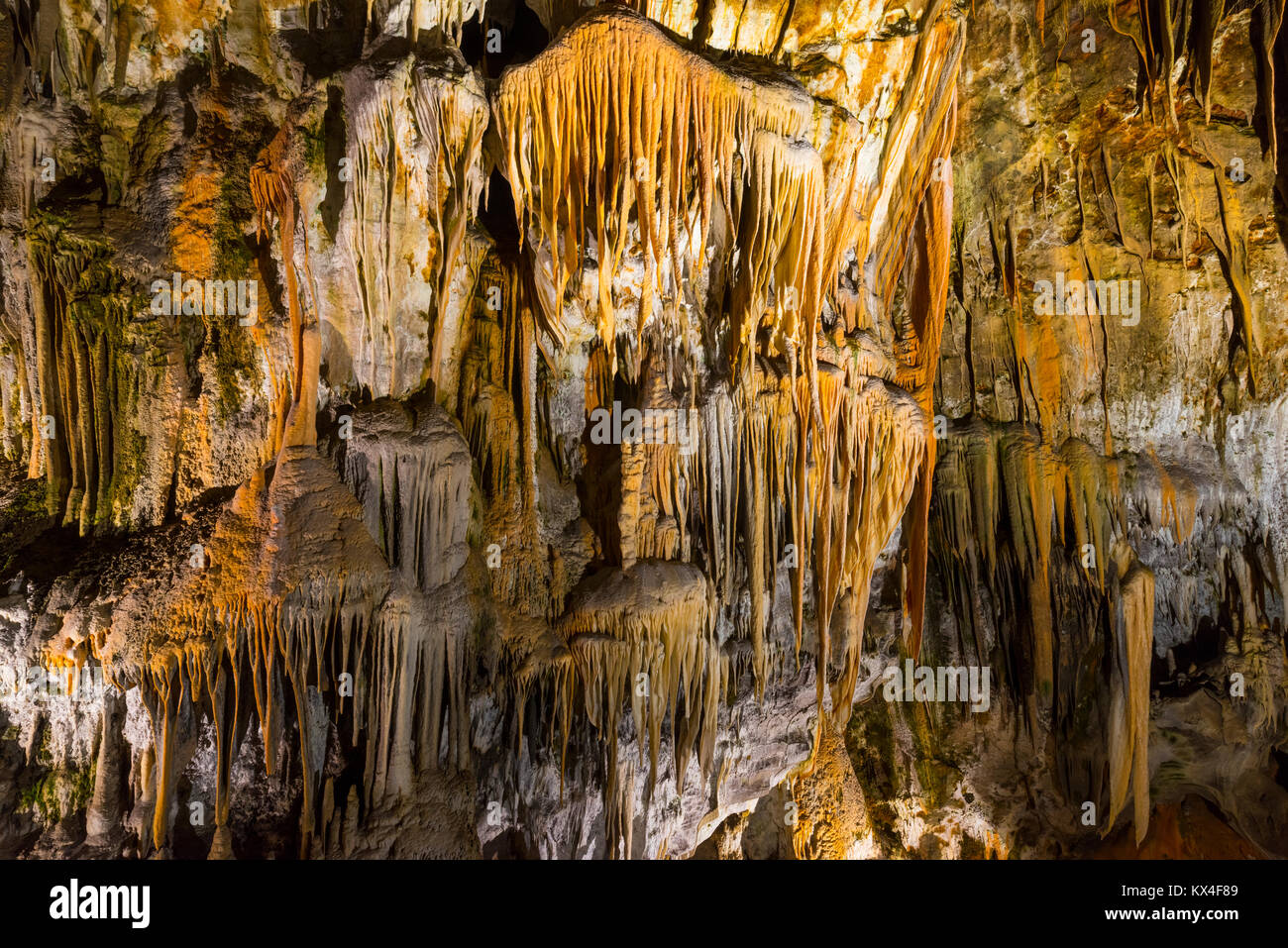 Grotte de postojna Banque de photographies et d’images à haute ...