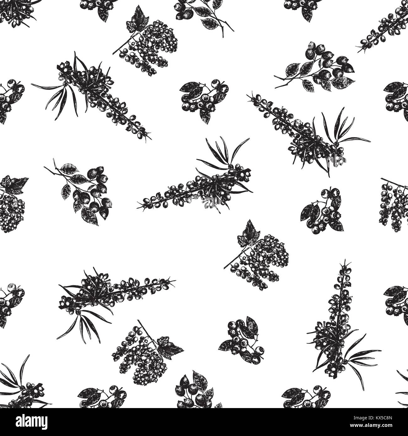 Croquis dessinés à la main, style, de différentes sortes de baies ...