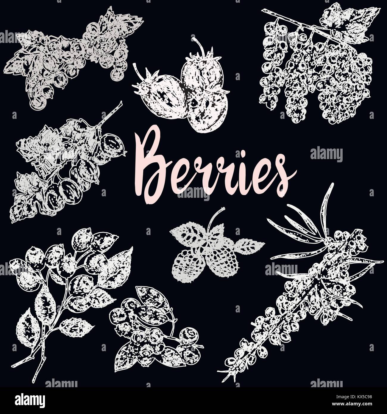 Croquis dessinés à la main, style, de différentes sortes de baies ...