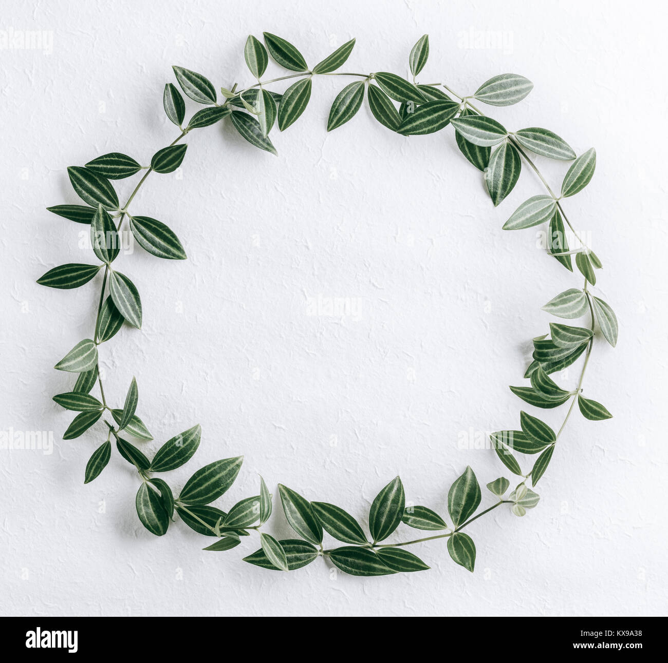 Bordure ronde feuillage Banque de photographies et d’images à haute ...