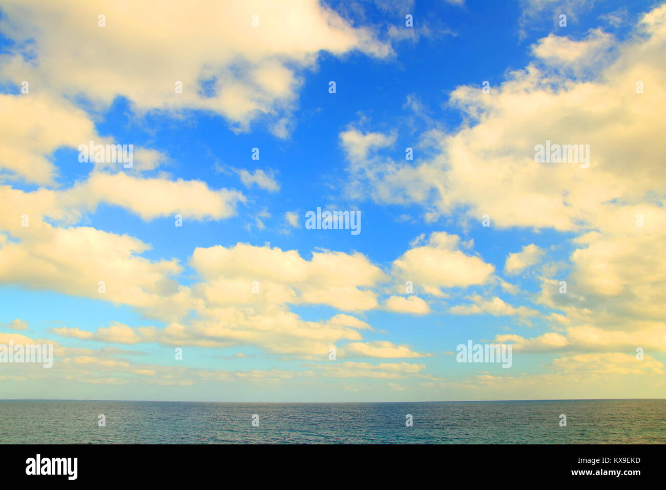 Soil horizon Banque de photographies et d’images à haute résolution - Alamy