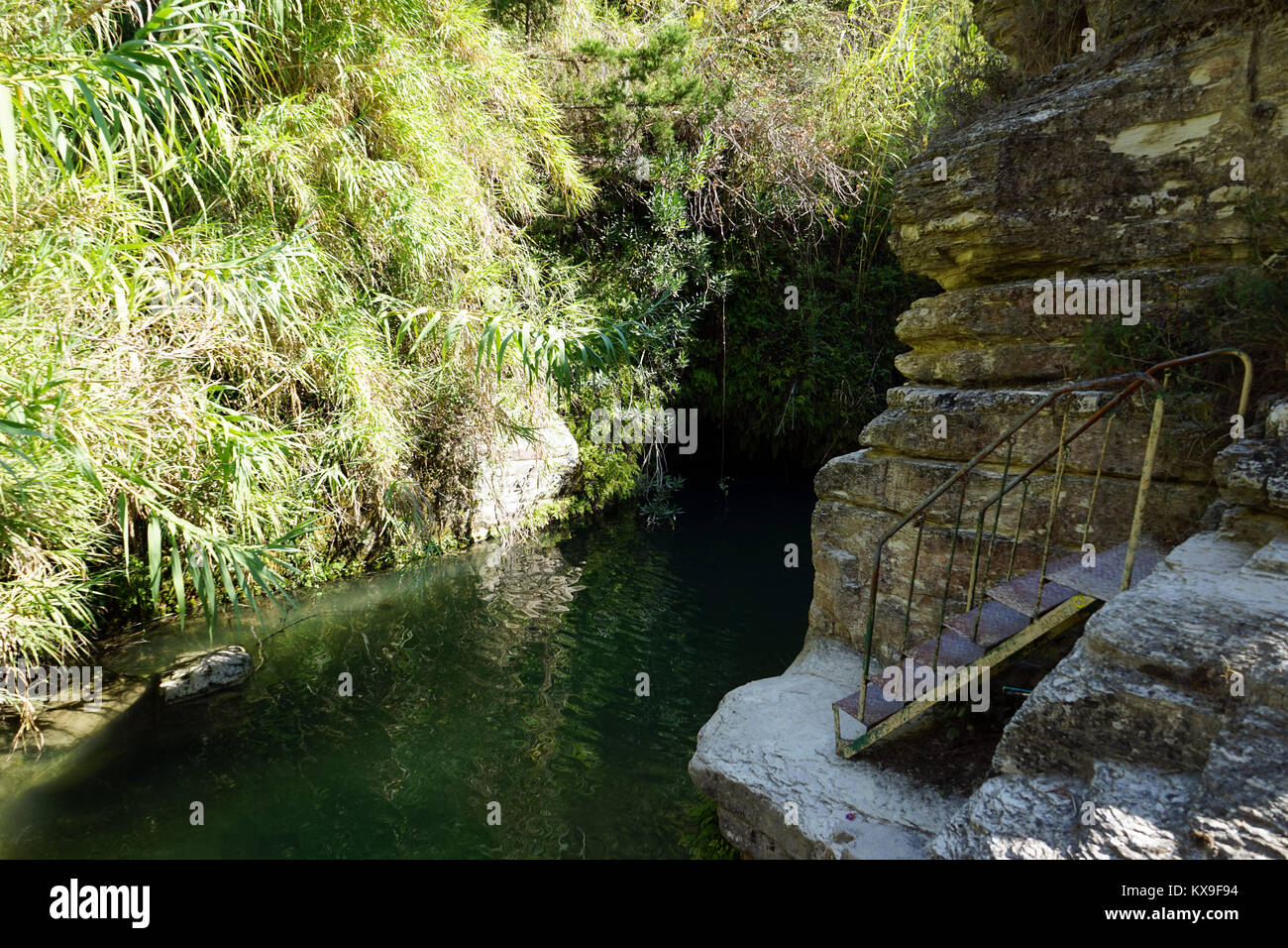Adonis bath Banque de photographies et d’images à haute résolution - Alamy