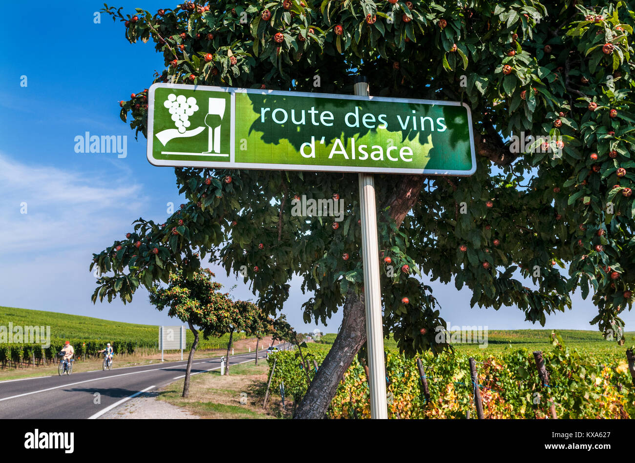 ROUTE DES VINS Route des Vins d'Alsace signe de route dans les vignes ...