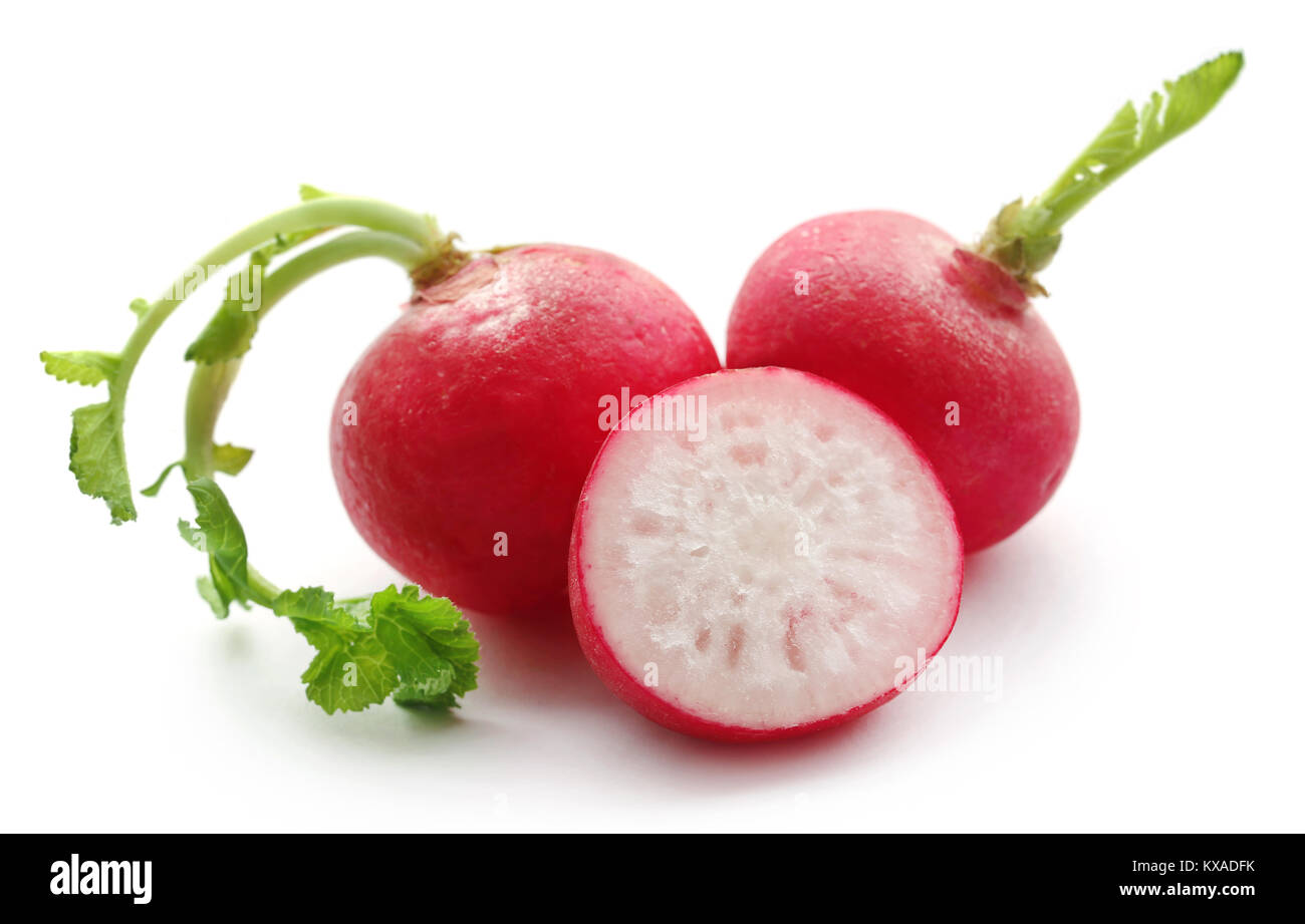 Radis ronds Banque de photographies et d’images à haute résolution - Alamy