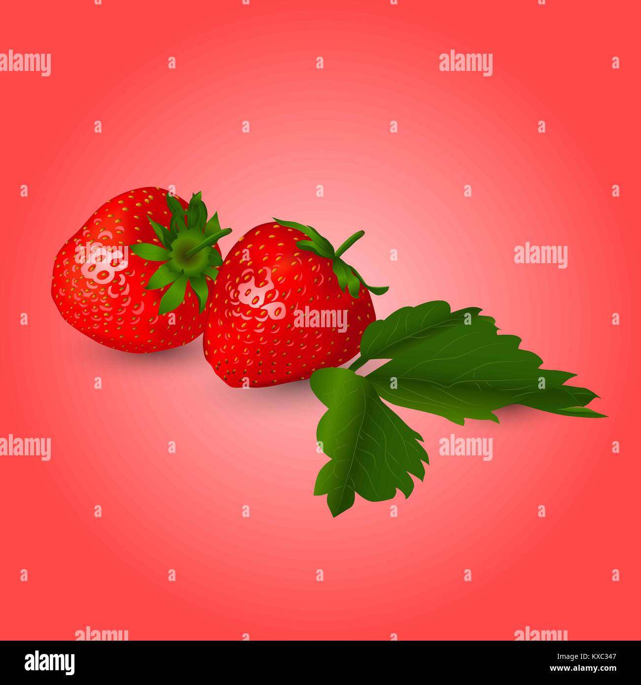 Feuilles de fraise Banque d'images vectorielles - Alamy