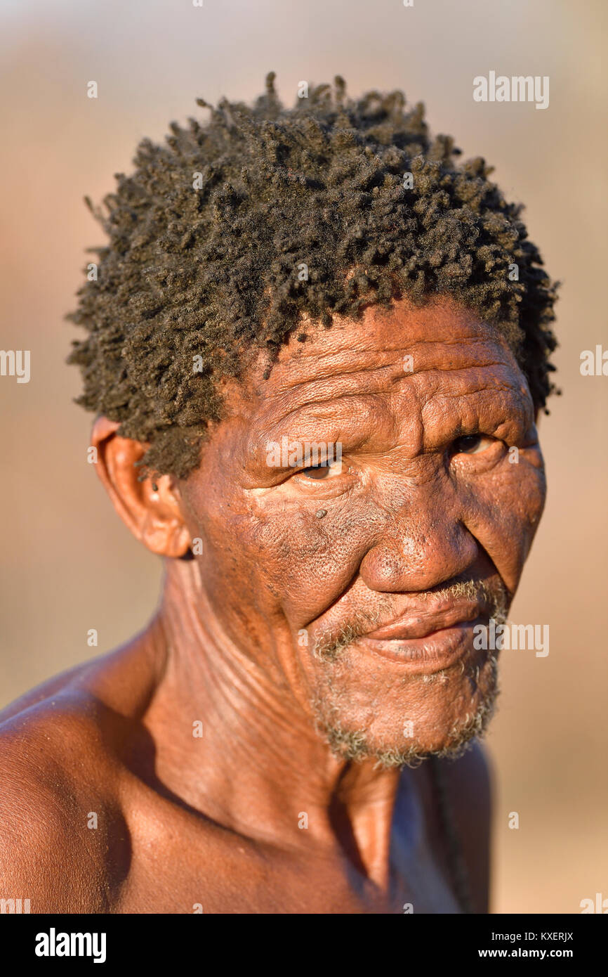 Kalahari bushman portrait Banque de photographies et d’images à haute ...