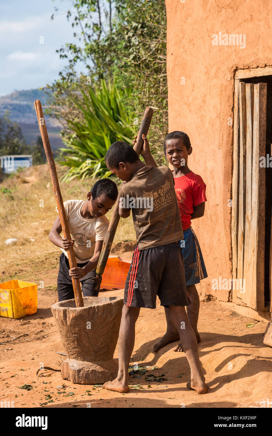 Les jeunes garçons battre les feuilles de manioc à l'aide d'un pilon en ...