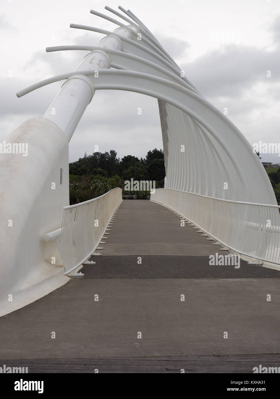 Te rewa rewa bridge Banque de photographies et d’images à haute ...