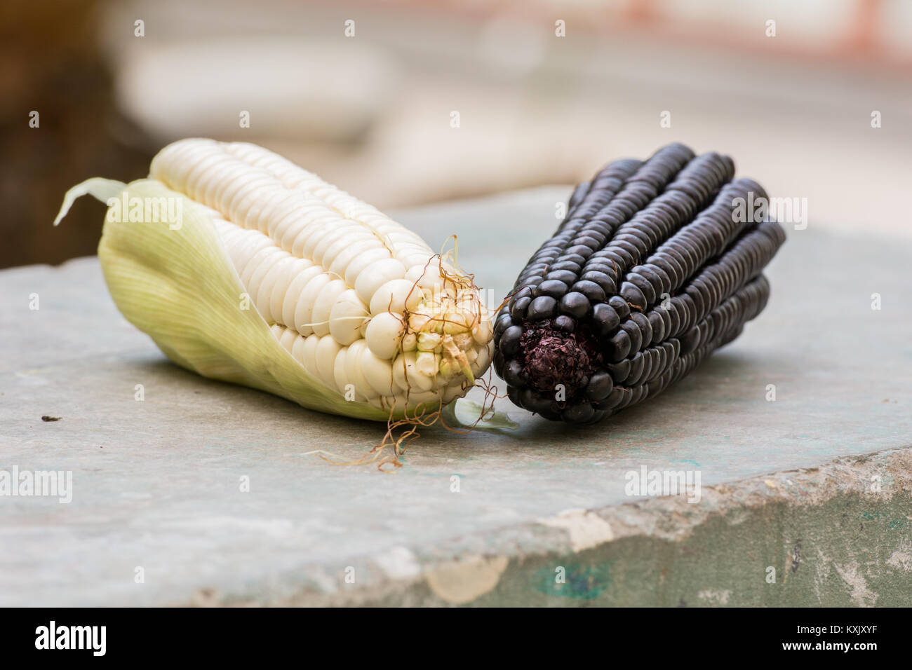 Des variétés de maïs du Pérou : maïs violet pour rendre populaires ...