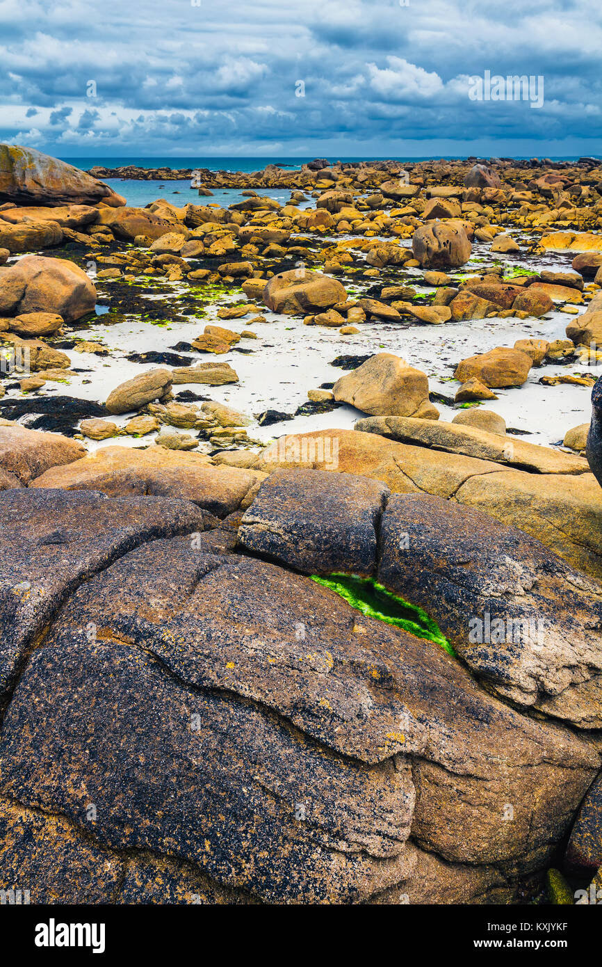 Algues vertes en bretagne Banque de photographies et d’images à haute ...