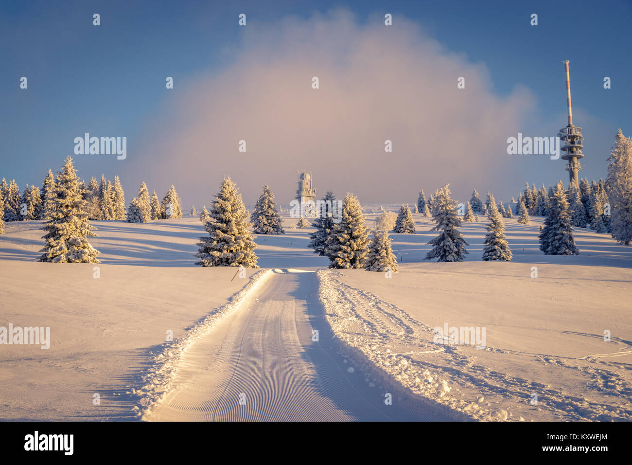Tôt le matin, la neige a couvert forêt noire chauffé par les rayons du ...