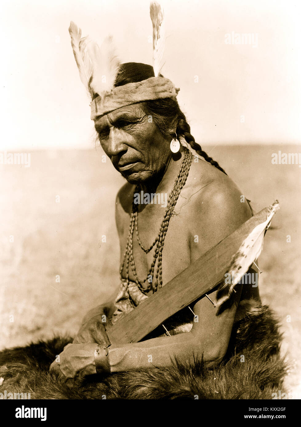 Cheval gras avec l'insigne d'un soldat des Pieds-Noirs Photo Stock - Alamy