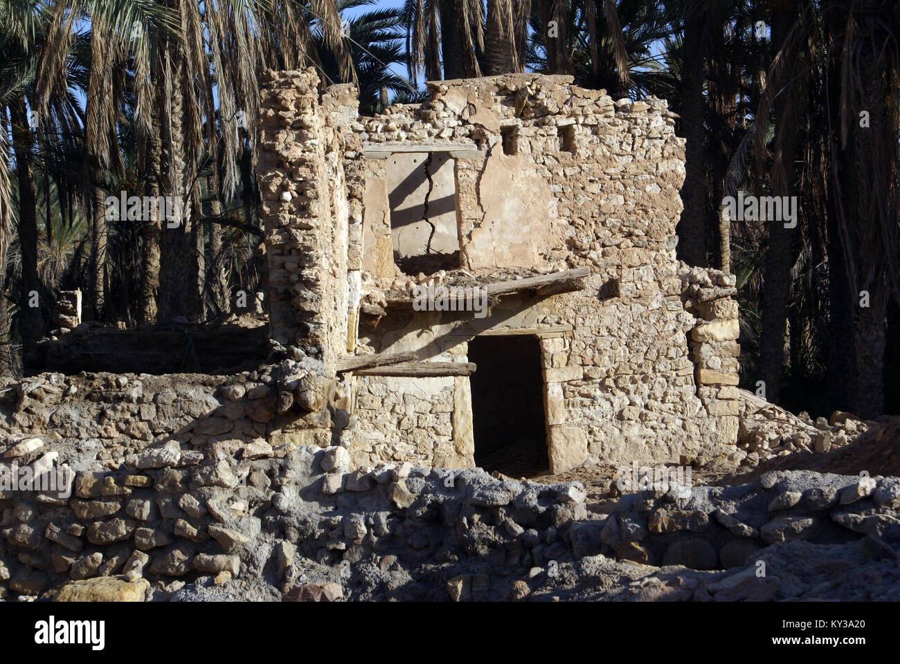 Kebili oasis Banque de photographies et d’images à haute résolution - Alamy