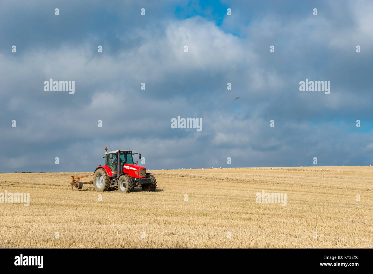 Tracteur rouge Banque de photographies et d’images à haute résolution ...