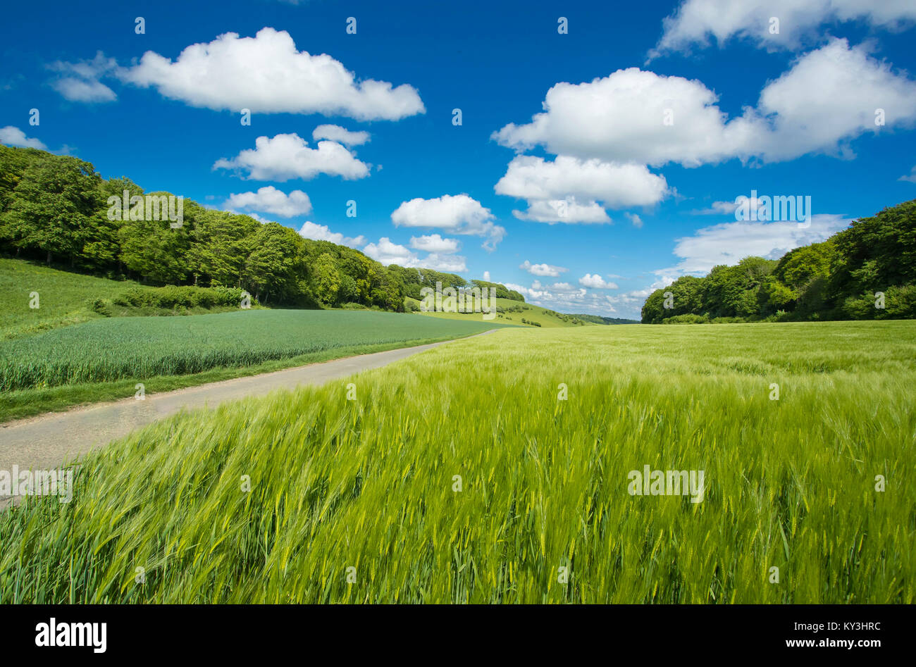 Paysage de bocage Banque de photographies et d’images à haute ...
