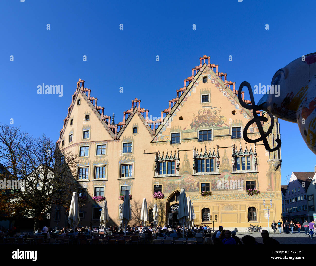 Ulm sparrow Banque de photographies et d’images à haute résolution - Alamy