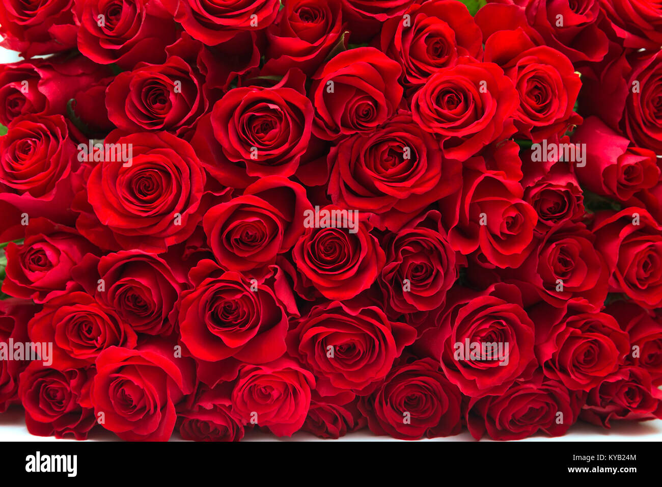 Avec un gros bouquet de roses rouges Banque de photographies et d ...
