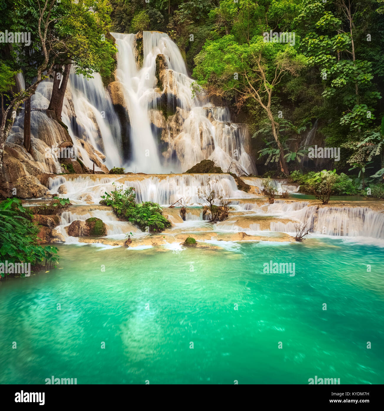 Tat Cascades de Kuang Si. Beau paysage. Luang Prabang. Le Laos Photo ...