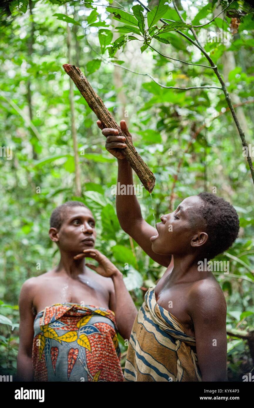 Pygmees d'afrique Banque de photographies et d’images à haute ...