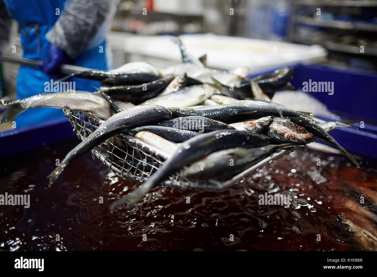 Usine de transformation du poisson Banque de photographies et d’images ...