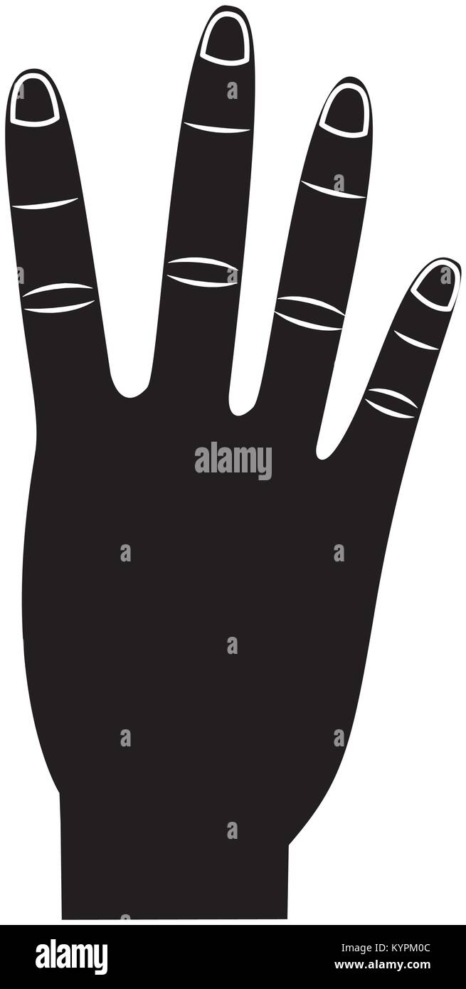 Quatre doigts de la main Banque d'images vectorielles - Alamy