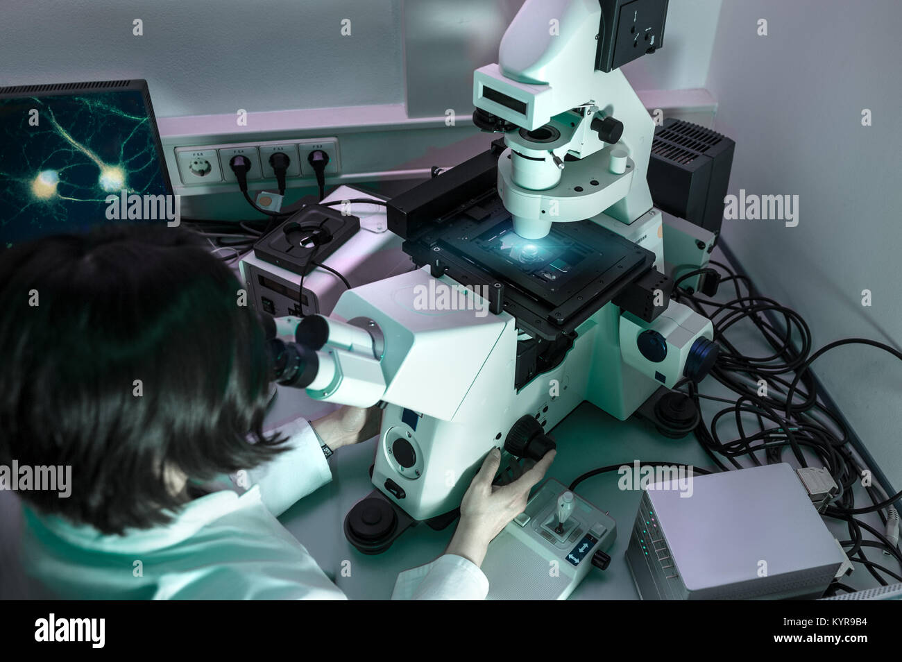 Inverted microscope Banque de photographies et d’images à haute ...
