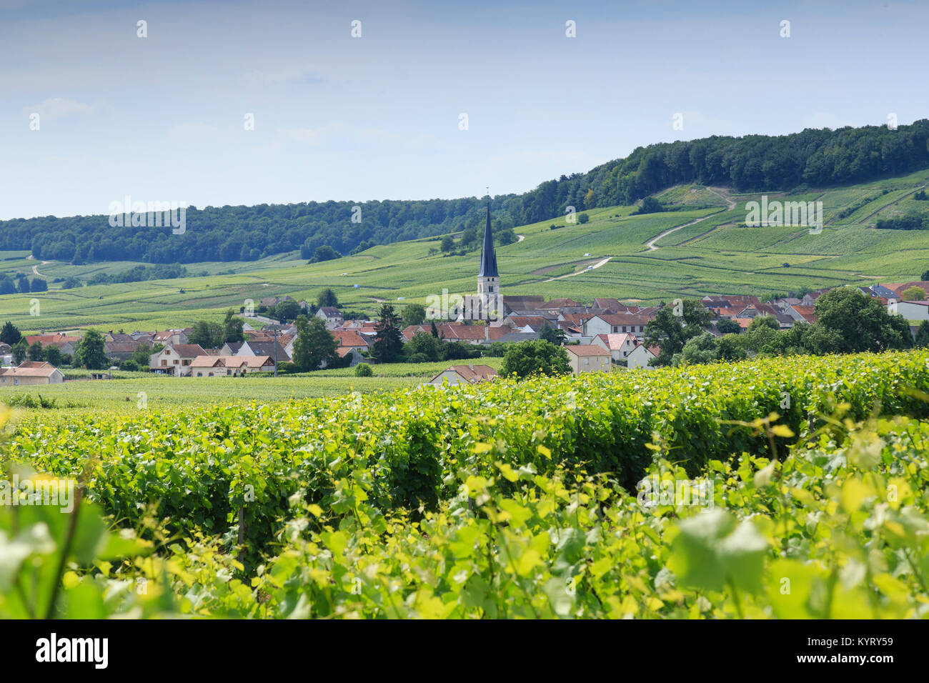 Route touristique du champagne Banque de photographies et d’images à ...