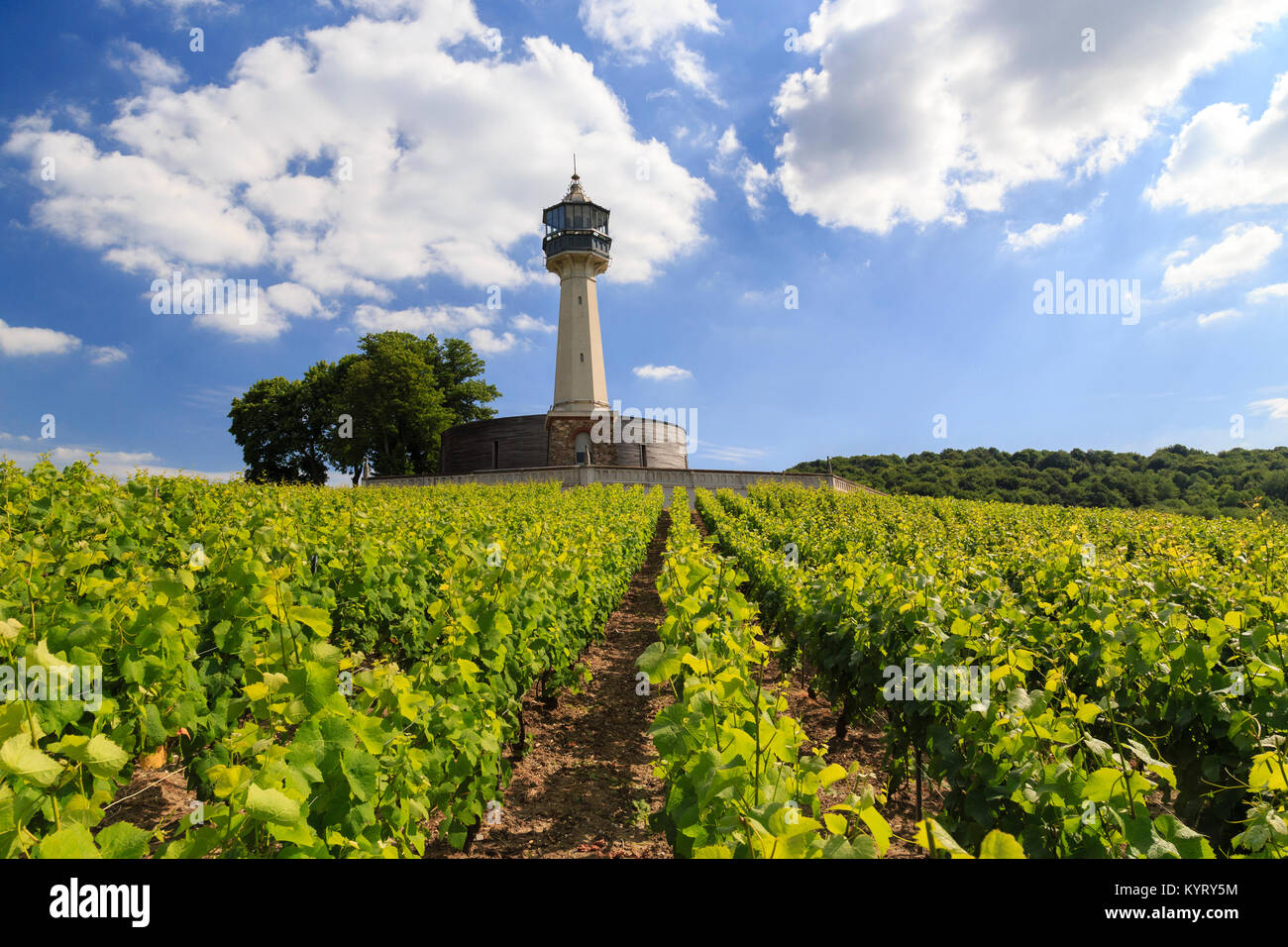 France, Marne (51), Parc naturel régional de la Montagne de Reims ...