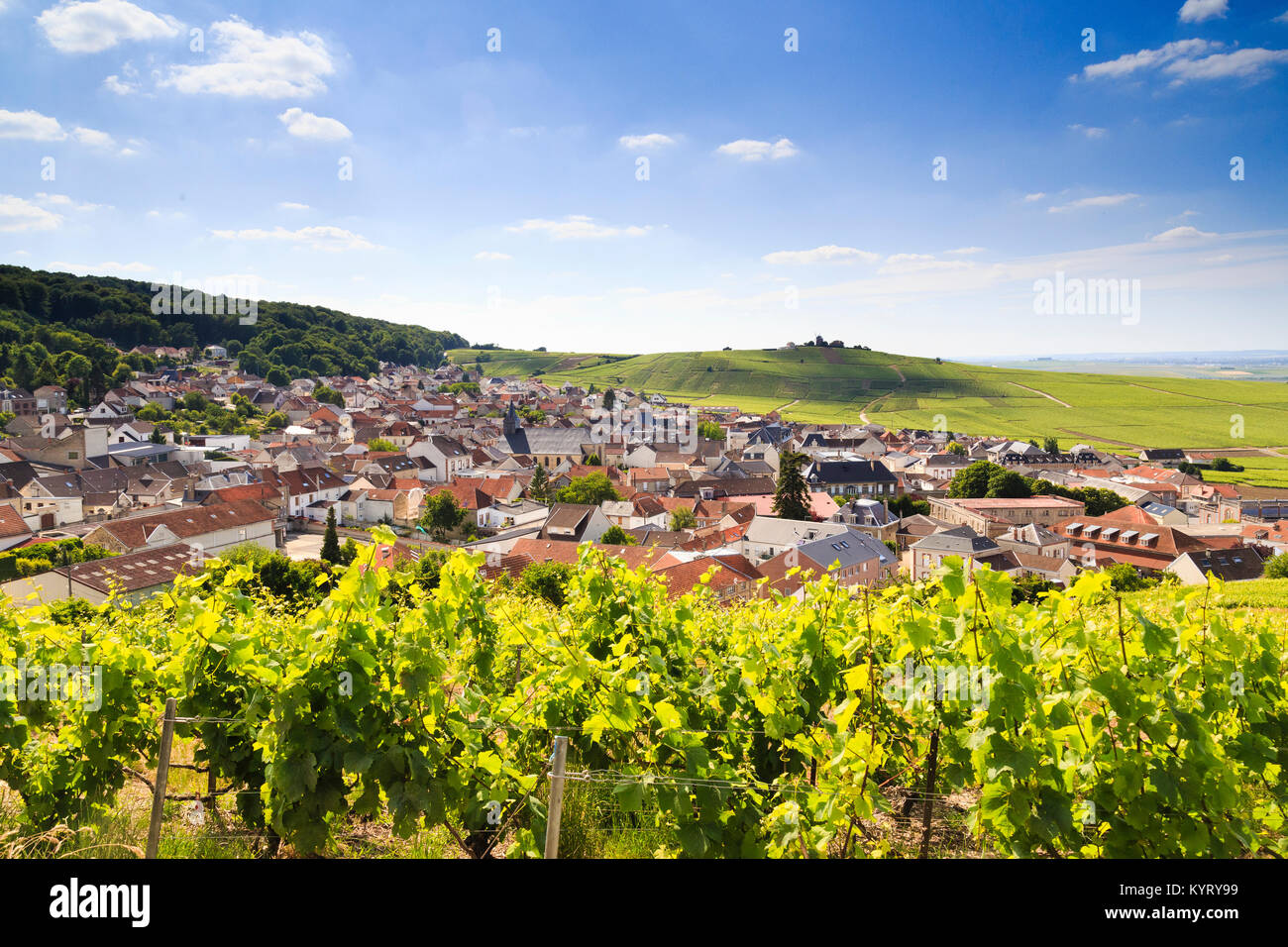 France, Marne (51), Parc naturel régional de la Montagne de Reims ...