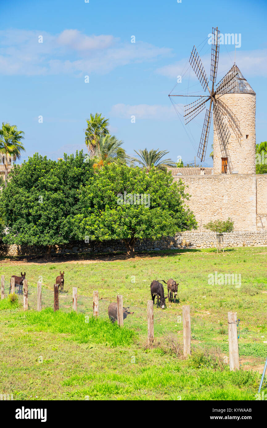 Sineu mallorca Banque de photographies et d’images à haute résolution ...