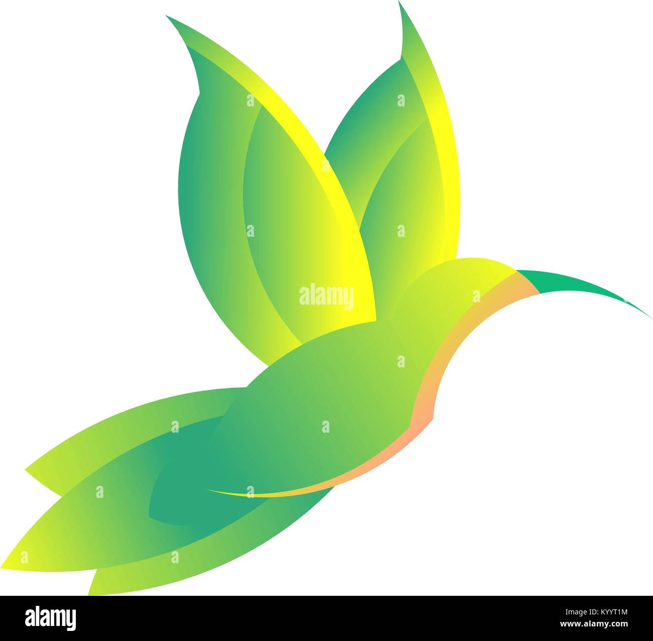 Colibri coloré signe. Colibri oiseau simple logo. Dimensions de l'avion ...