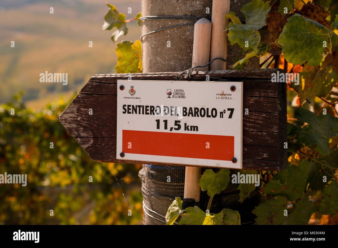 Barolo, Piémont, Italie : vignes et paysages autour de Barolo et de la ...