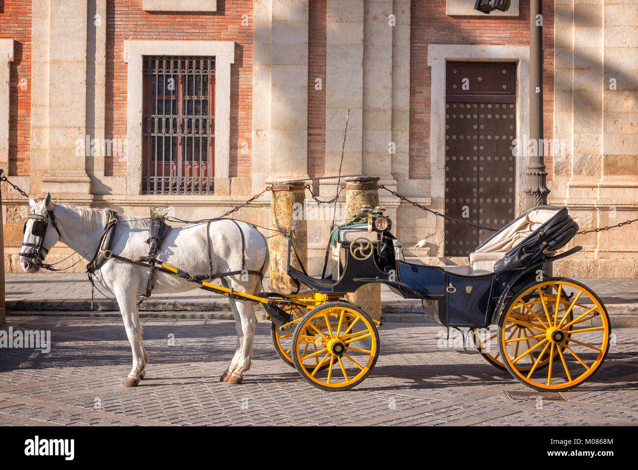 Cheval andalousie Banque de photographies et d’images à haute ...