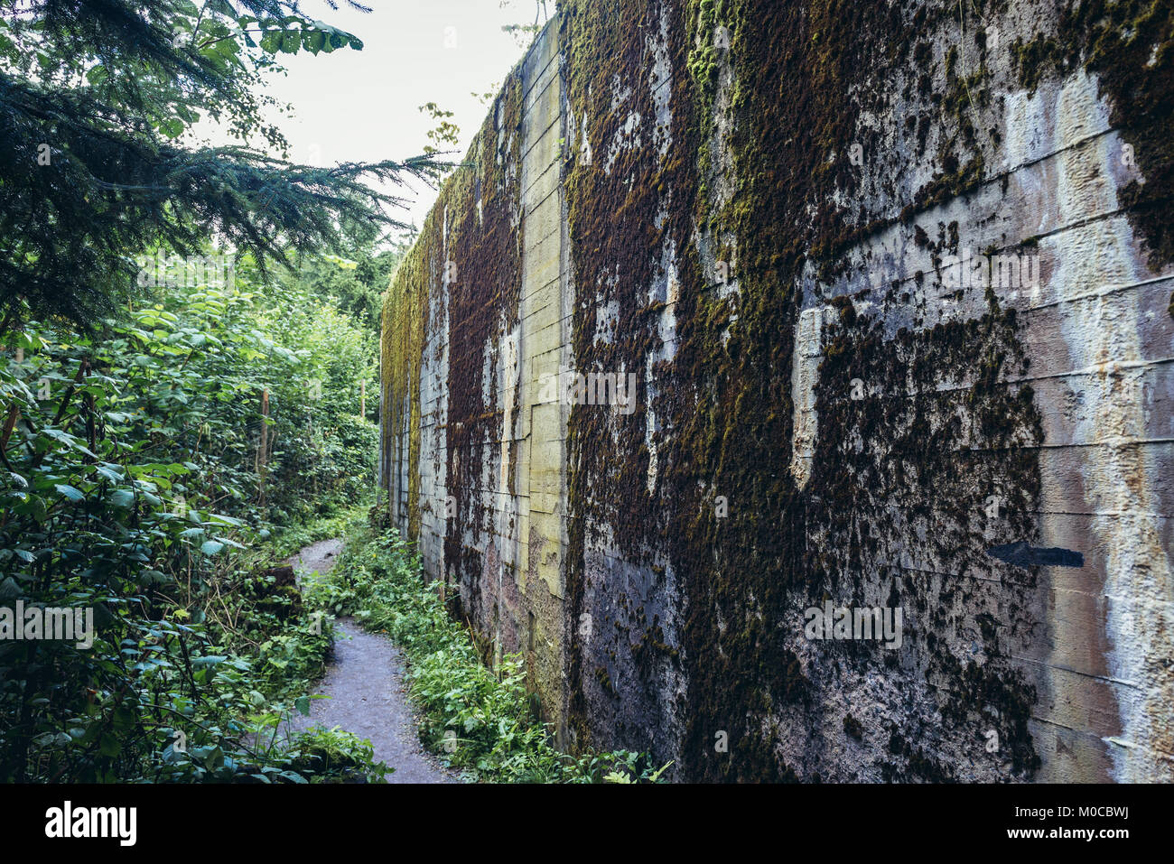 Des bunkers de ville musée de Brigid à Mamerki (allemand : Mauerwald ...