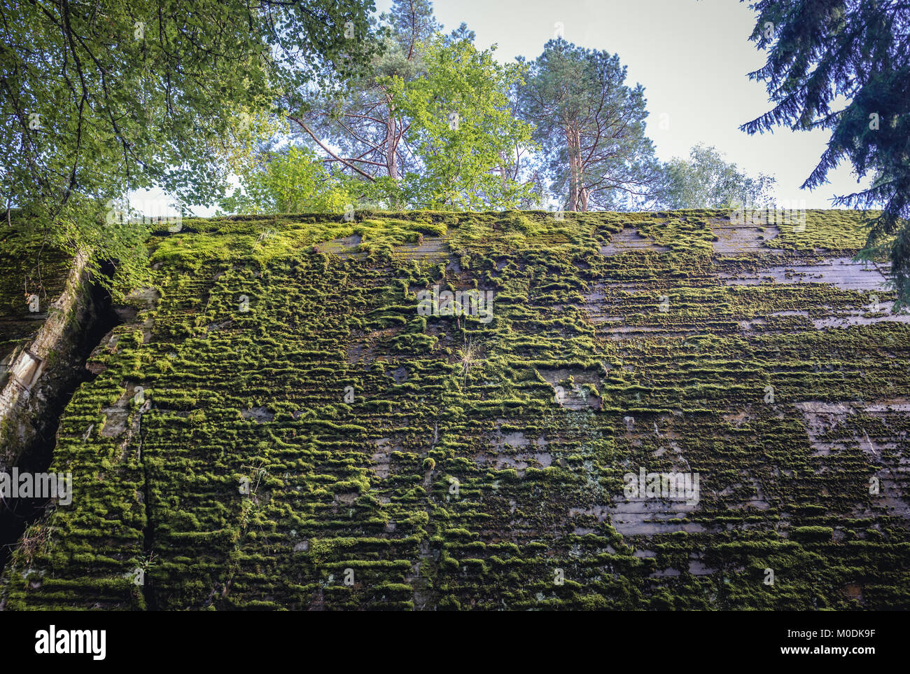 Hitler's bunker dans Wolf's Lair, siège de nazi Adolf Hitler et le ...