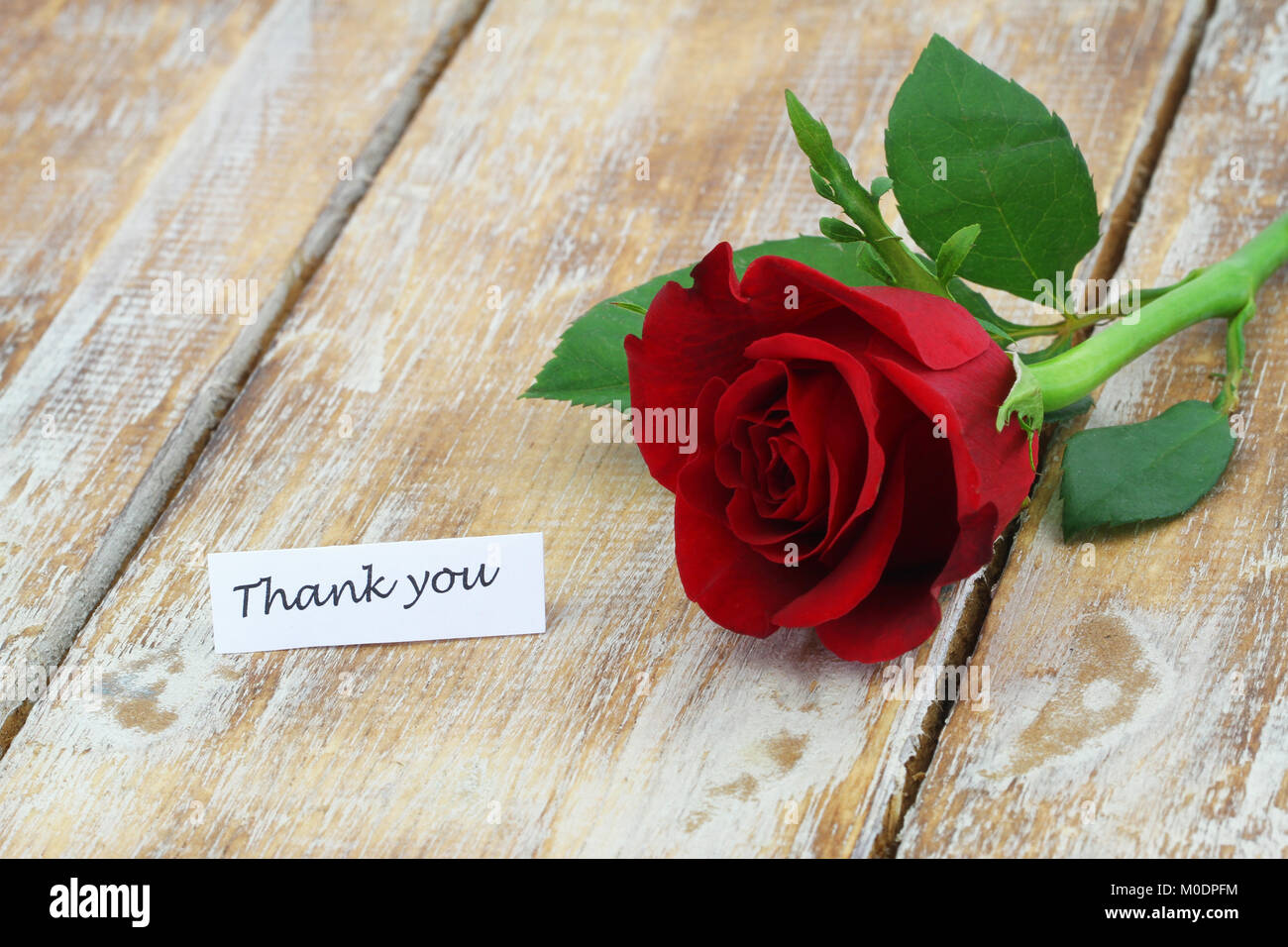 Carte De Remerciement Avec Rose Rouge Carte De Remerciement Avec Banque ...