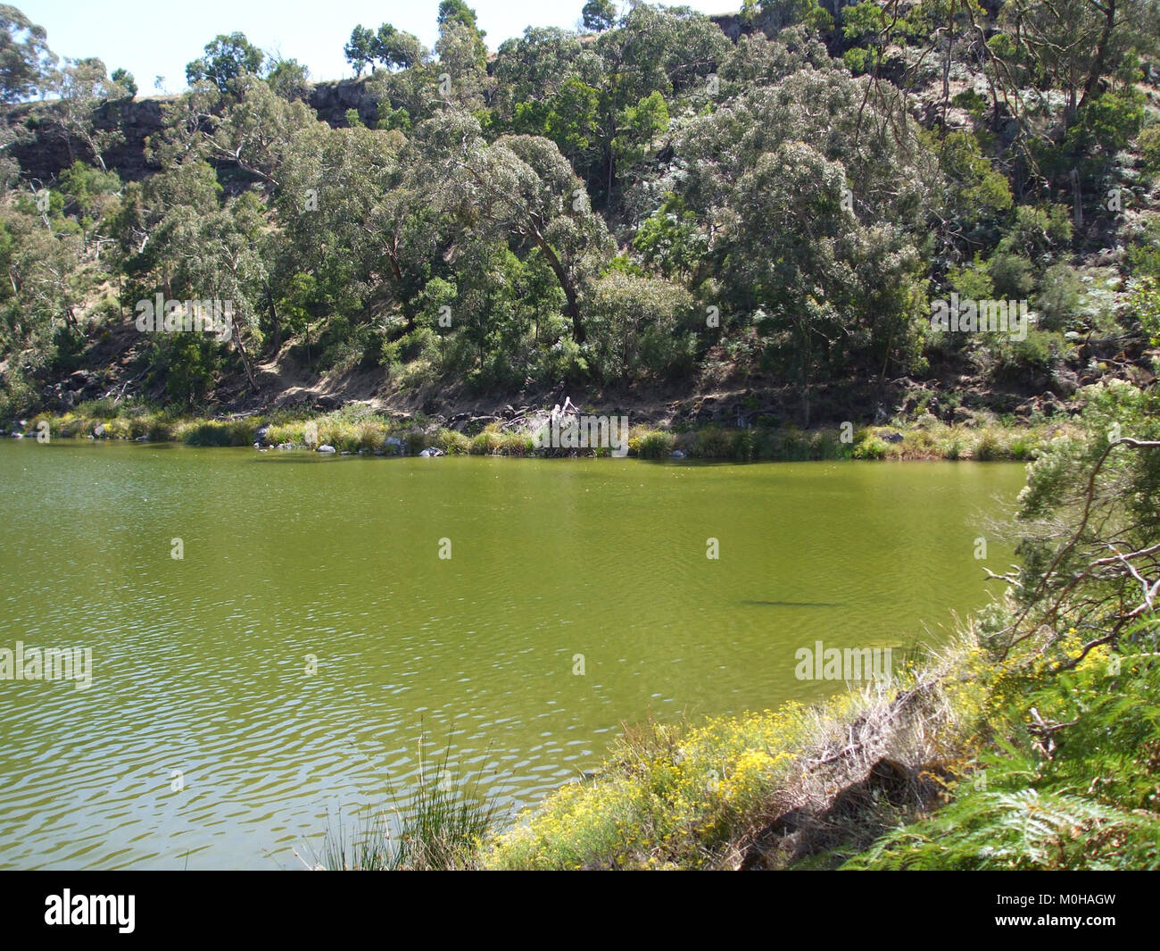 Mt eccles Banque de photographies et d’images à haute résolution - Alamy