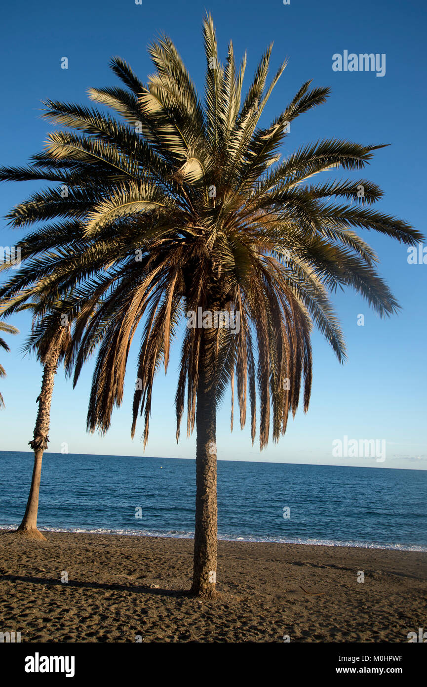Sol plage Banque de photographies et d’images à haute résolution - Alamy