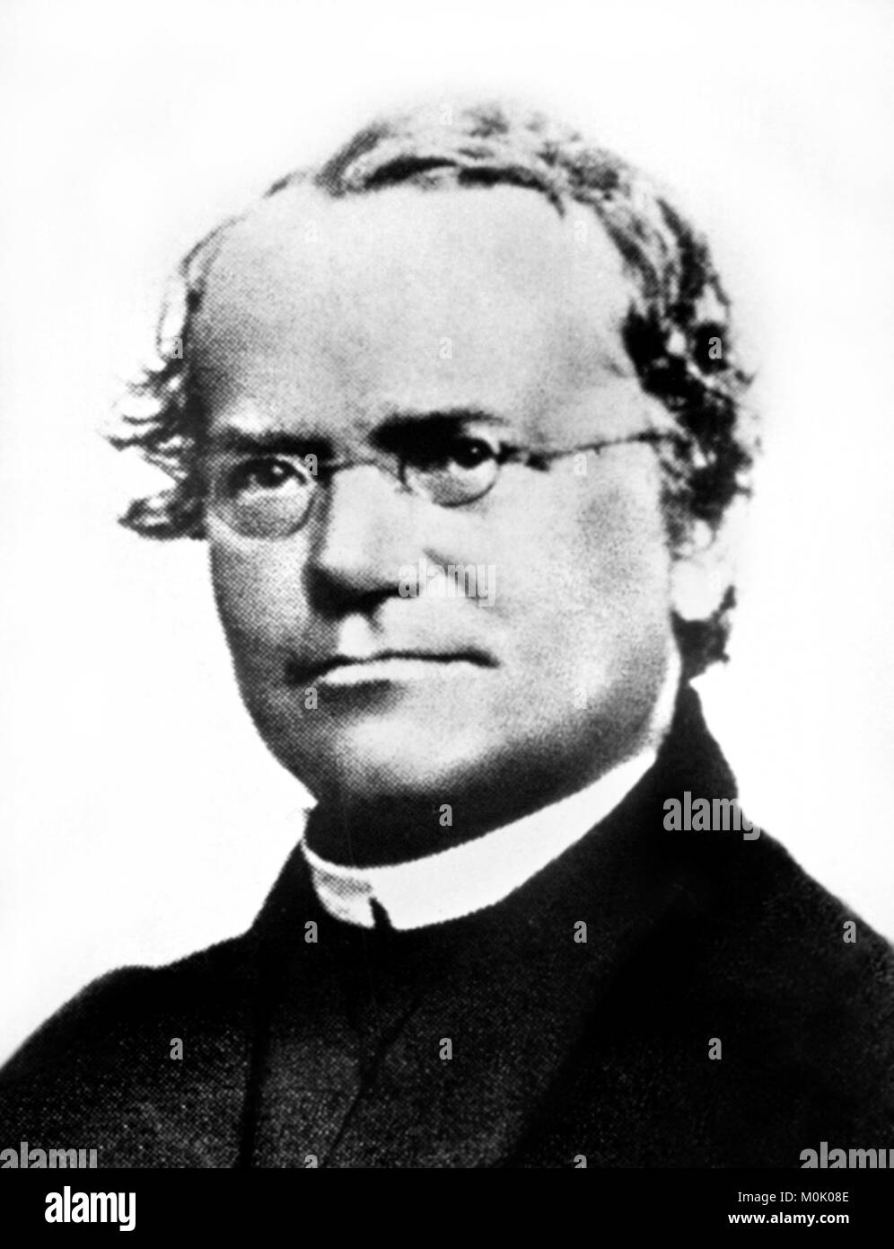 Gregor Mendel. Portrait de Johann Gregor Mendel (1822-1884), le ...