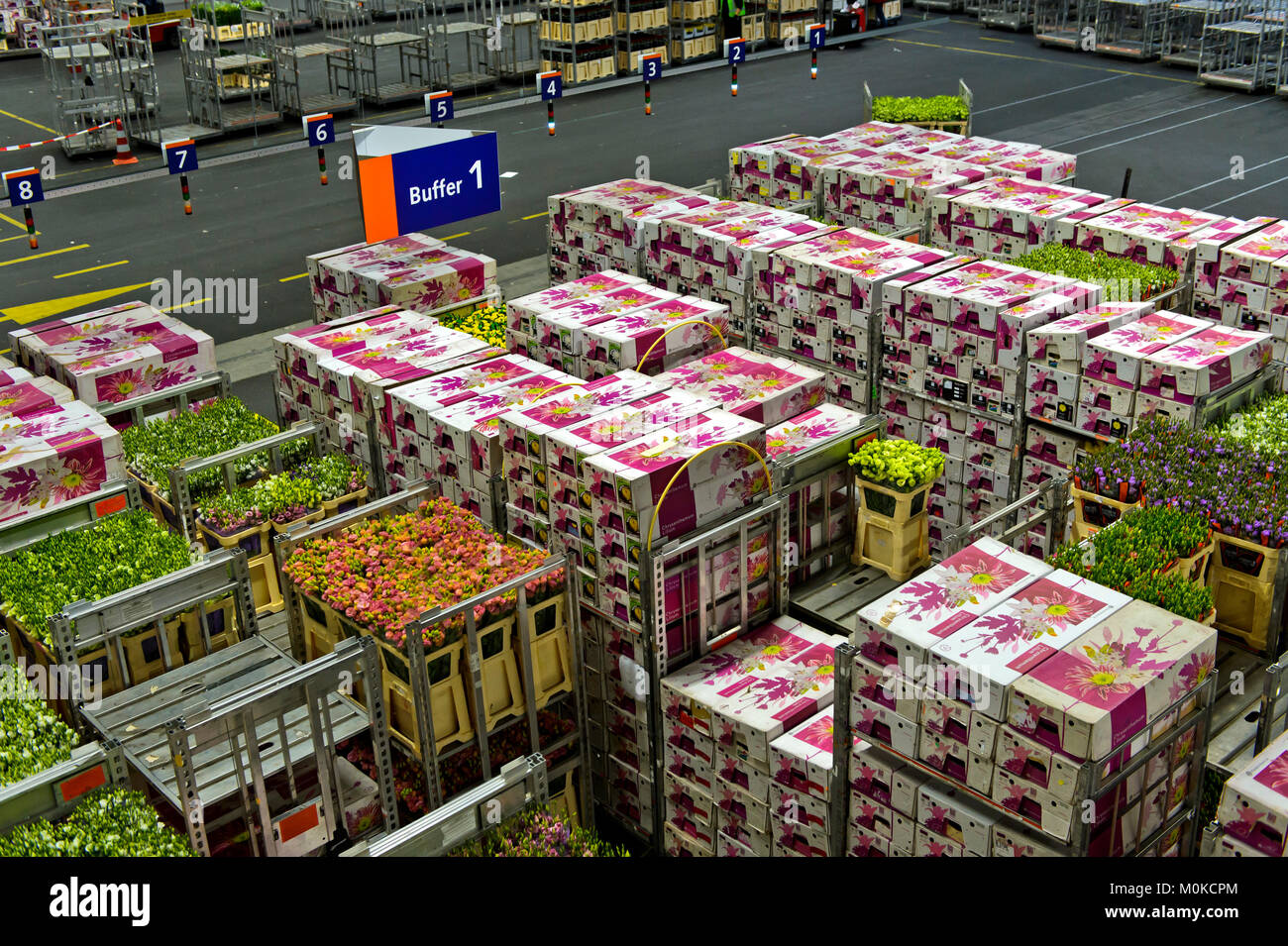 Royal floraholland Banque de photographies et d’images à haute ...