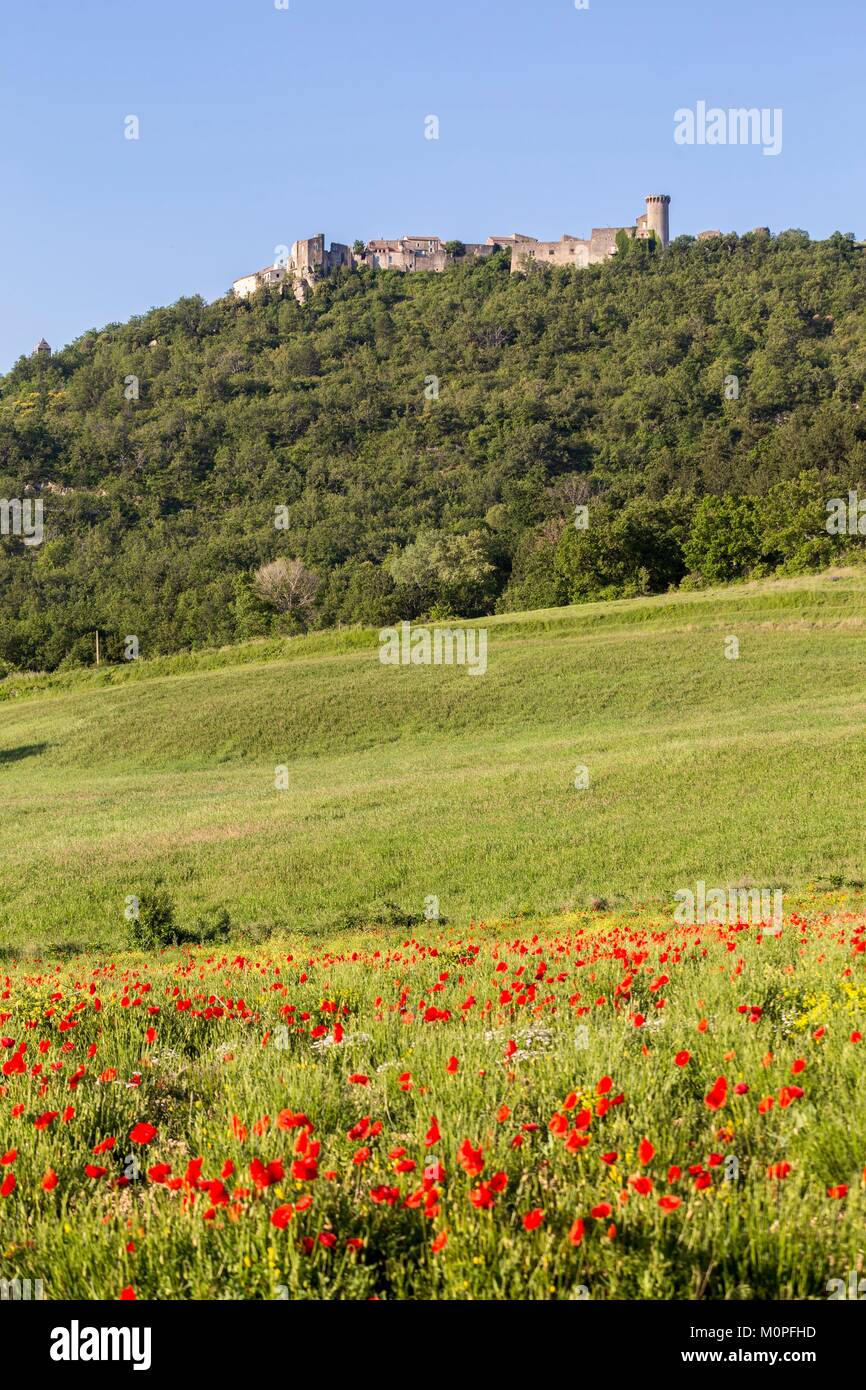 France,Vaucluse,parc naturel régional du Luberon,Viens,le village,les ...