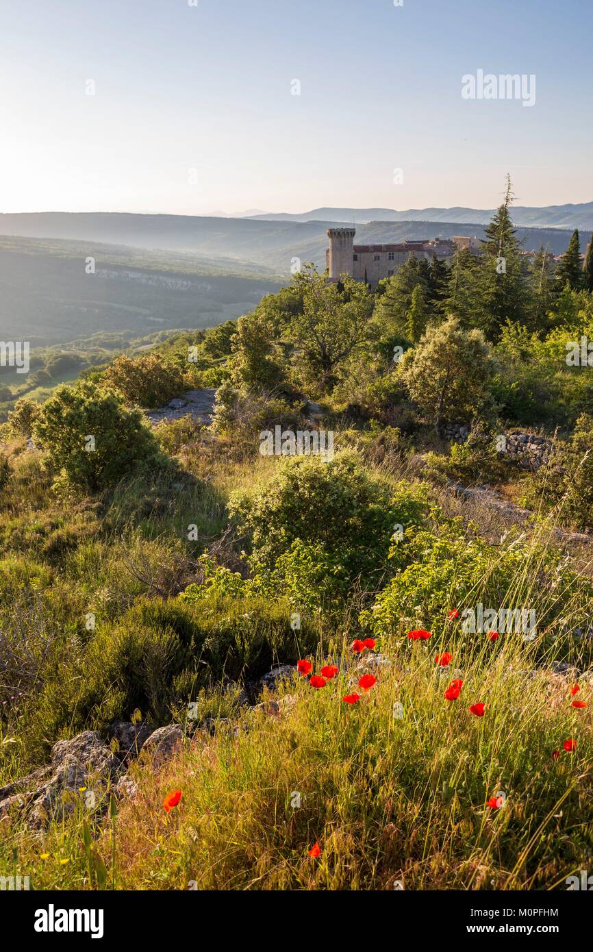 France,Vaucluse,parc naturel régional du Luberon,Viens,le village,le ...