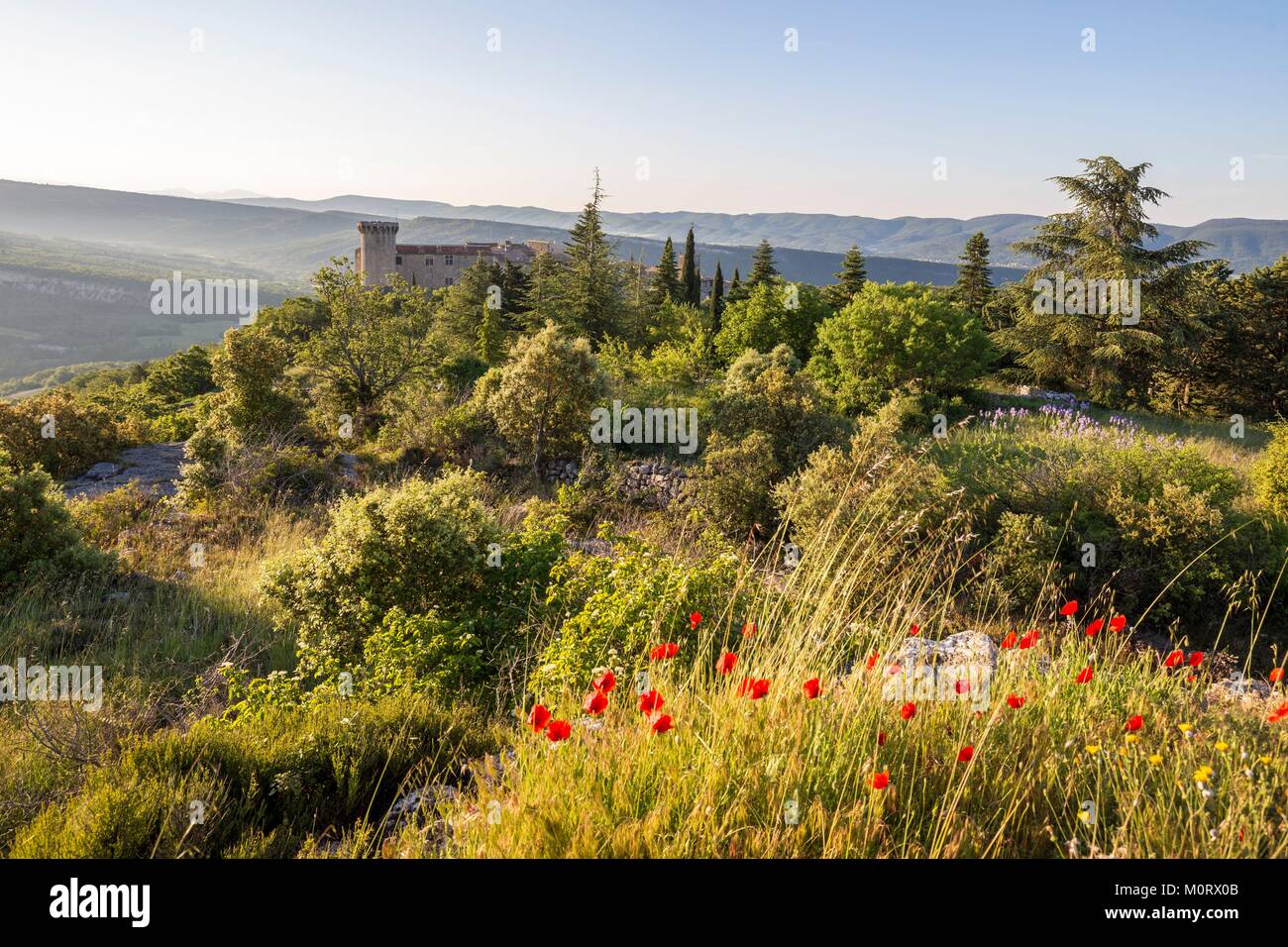 France,Vaucluse,parc naturel régional du Luberon,Viens,le village,le ...