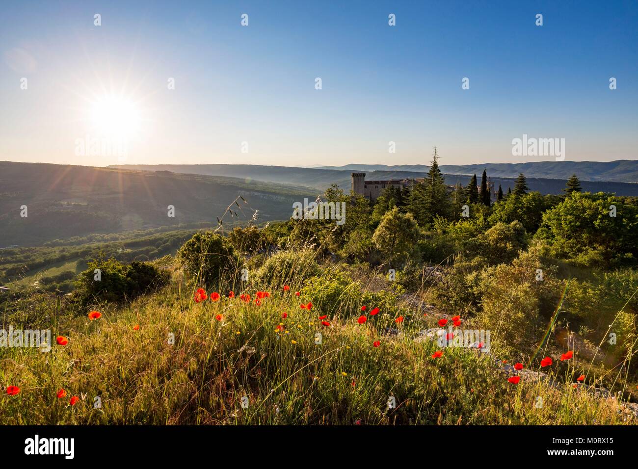 France,Vaucluse,parc naturel régional du Luberon,Viens,le village,le ...