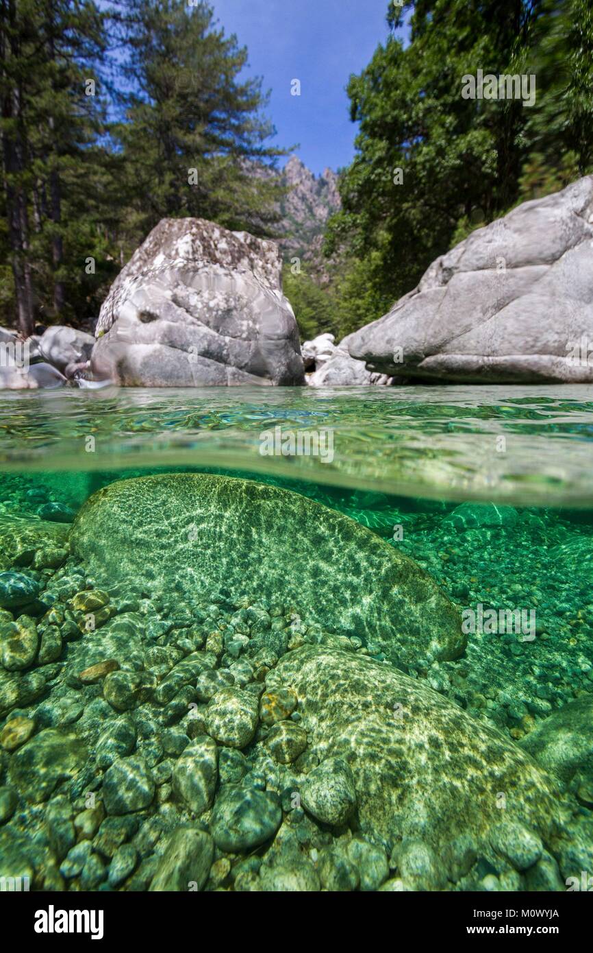 La France,Corse,vallée de la Restonica,gorges de la Restonica,pur et l ...