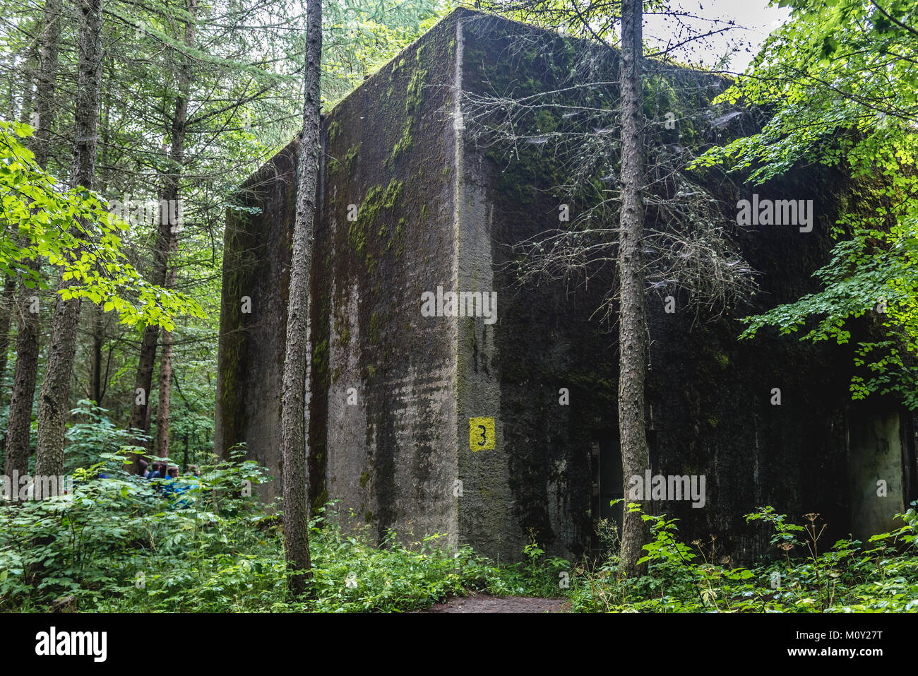 Bunker militaire à Mamerki (allemand : Mauerwald) bunker complexe ...