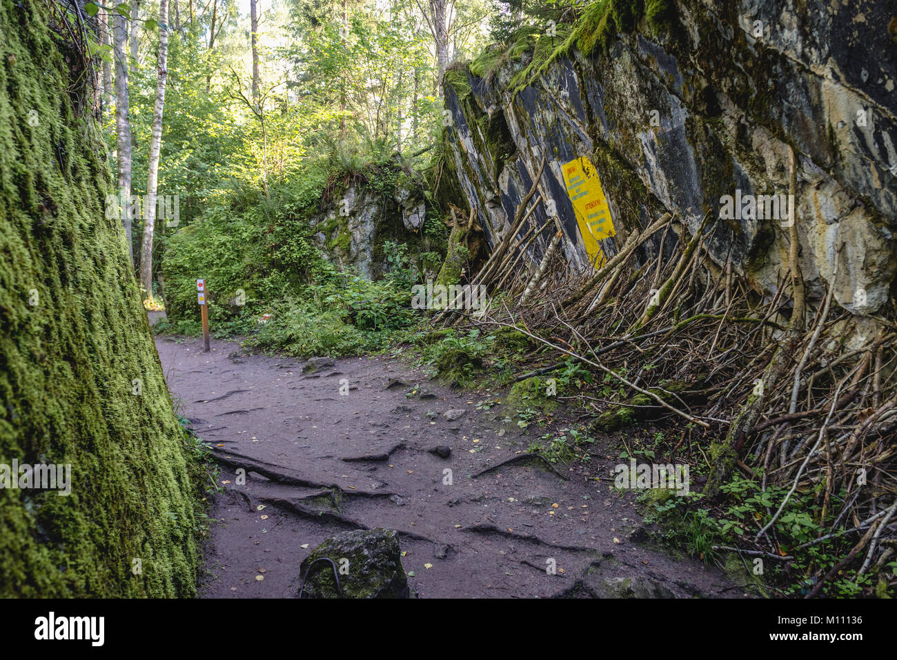 Ruines de Hitler's bunker dans Wolf's Lair, siège de nazi Adolf Hitler ...