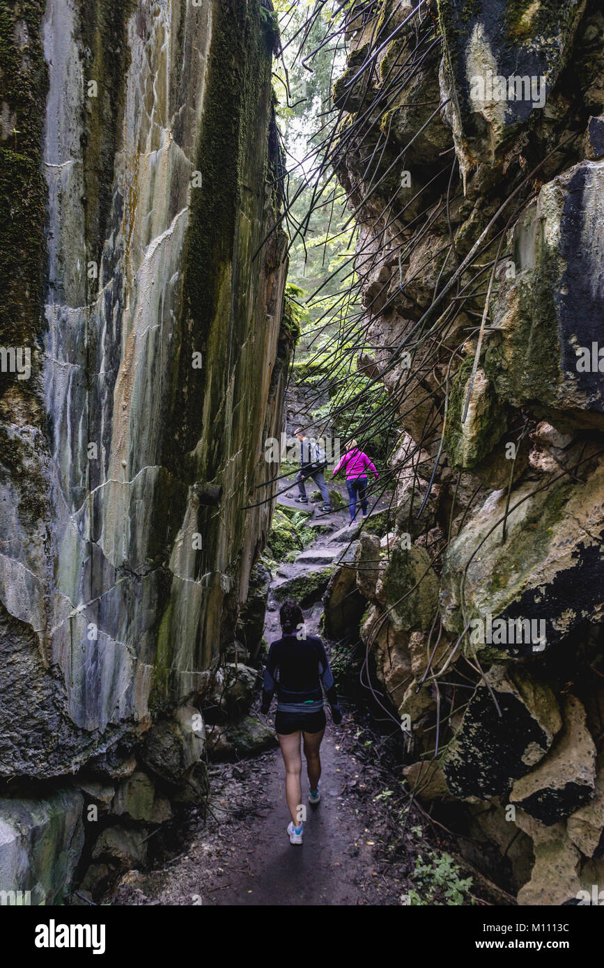 Ruines de Hitler's bunker dans Wolf's Lair, siège de nazi Adolf Hitler ...