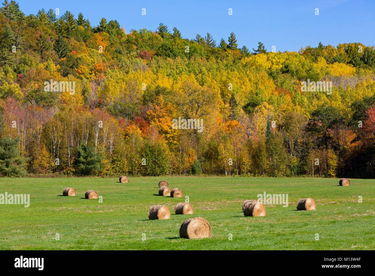 Canada, Province de Québec, Outaouais, région du Pontiac, L'Isle-aux ...